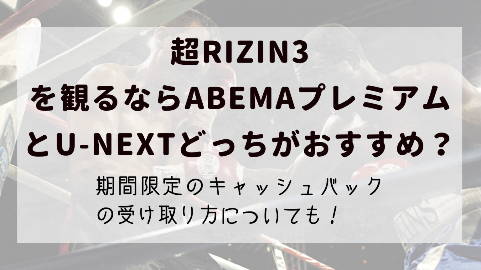 MLB2024を見るならABEMAプレミアムとSPOTV NOWどっち？ | ふぁんむーぶろぐ